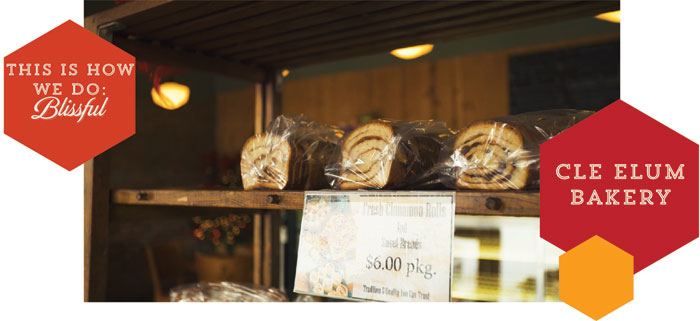 Get Your Picnic Baskets Ready with these must-stop Cle Elum Locations